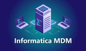 Informatica and MDM – Yoloshy Technology
